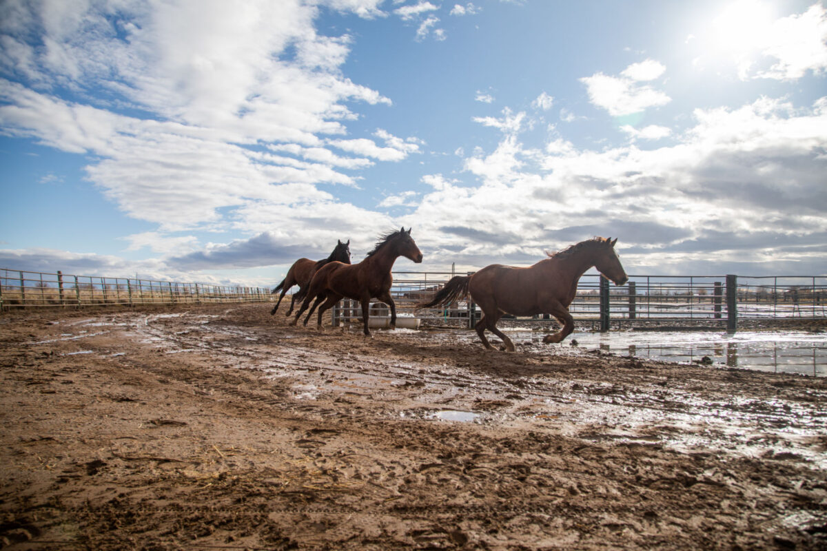 West Warren’s Jordan Hadley carries on family tradition — love of ...
